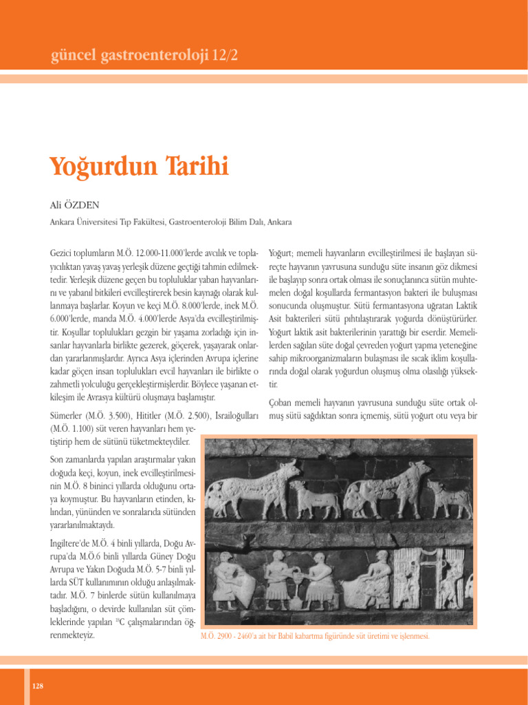 Ali Ozden - Yoğurdun Tarihi | PDF