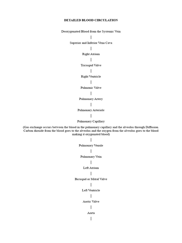 Blood Circulation Pdf Heart Valve Vein