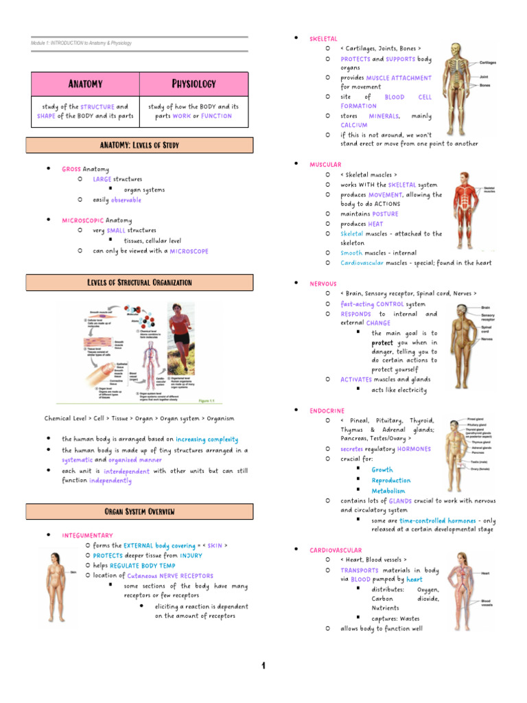 FIXED - GE 15 Notes | PDF | Human Body | Homeostasis