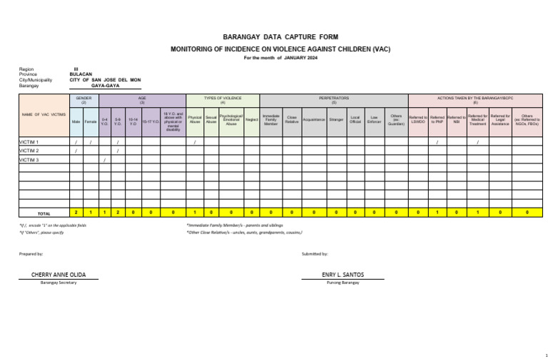 VAC Cases Monthly Monitoring Form | PDF | Violence | Problem Behavior
