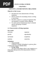 Dichotomous Key Practice Worksheets | PDF | Foreign Language Studies