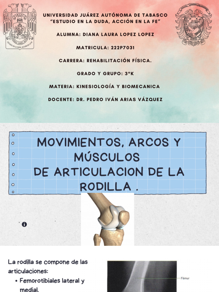 Rodilla (Musculos, Arcos) | PDF | Rodilla | Sistema musculoesquelético
