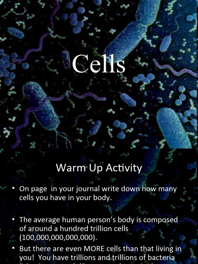 Cell Presentation NXPowerLite | PDF | Cell (Biology) | Organisms
