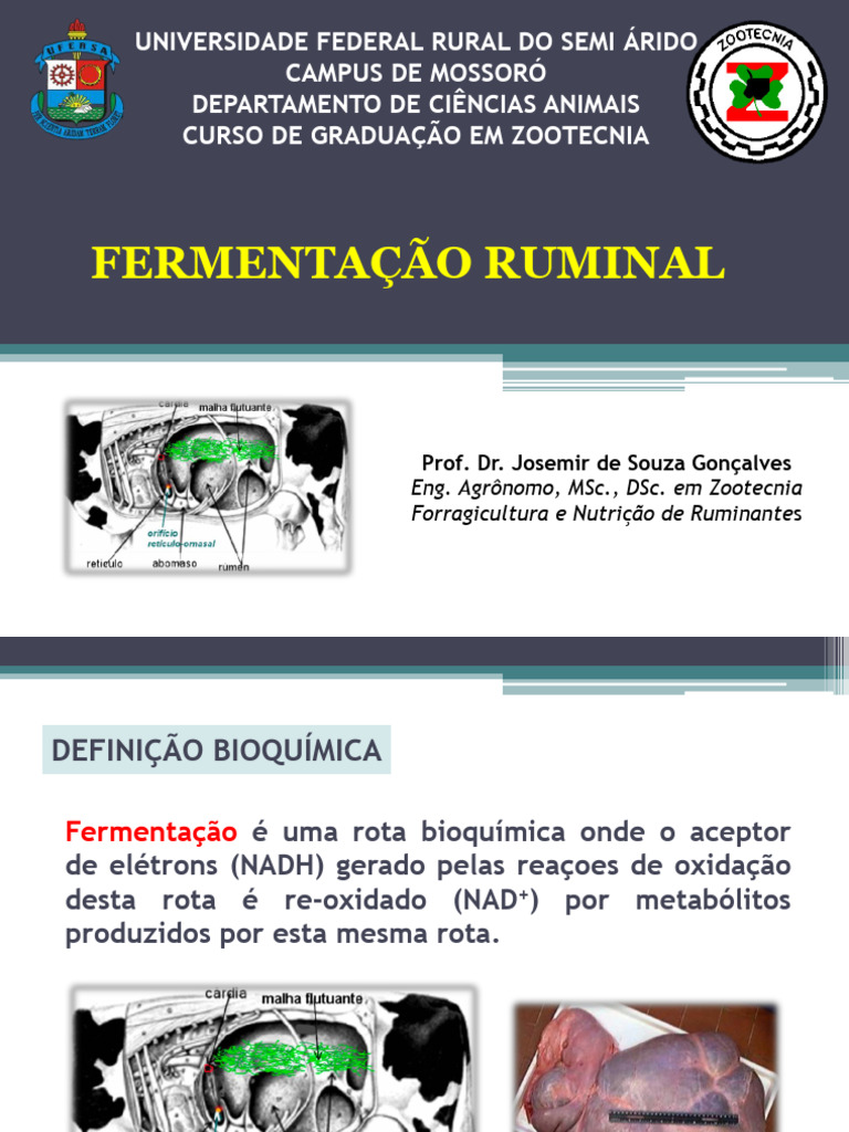 Fermentação Ruminal e AGVs em Ruminantes | PDF | Fermentação | Química
