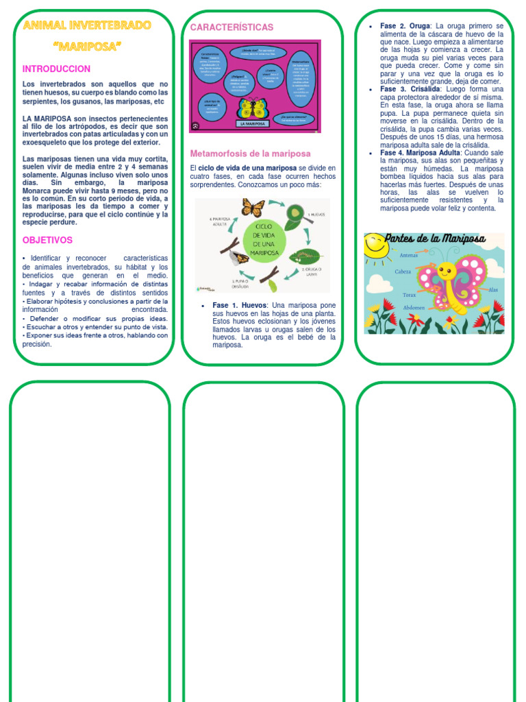 A. Invertebrado | PDF | Crisálida | Lepidópteros