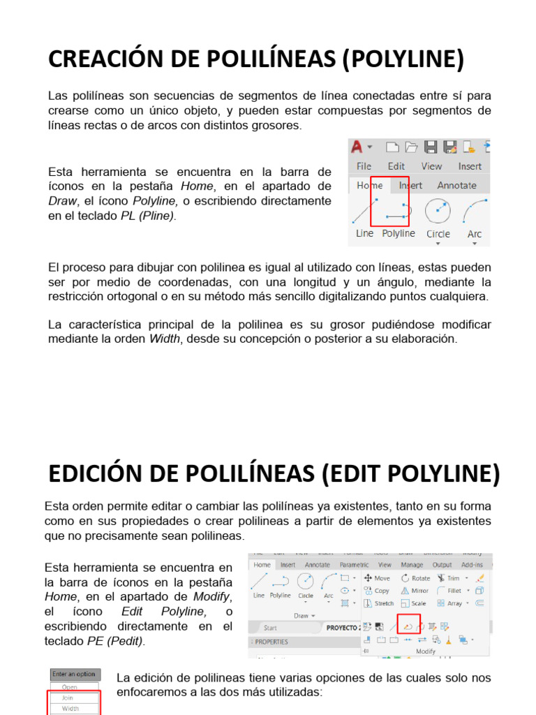Presentación5 - Polilineas y Edicion | PDF