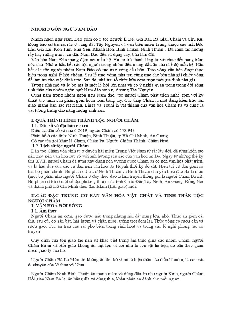 Nhóm Ngôn NG Nam Đ o | PDF