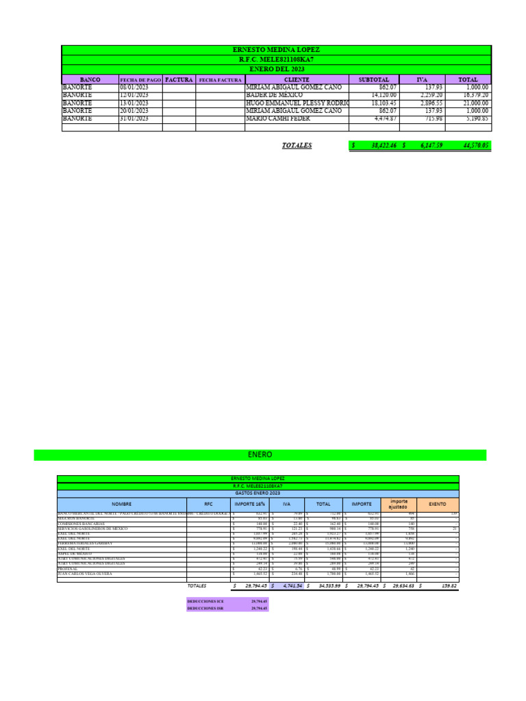 Impuestos Ejercicio 2023 ERNESTO | PDF | Impuesto sobre la renta | Impuesto al valor agregado