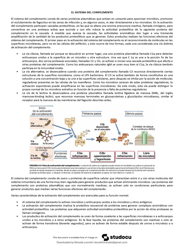 EL Sistema DEL Complemento | PDF | Sistema complementario | Inmunidad ...