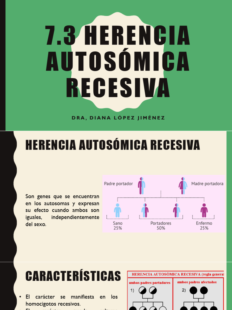Herencia Autosómica Recesiva: Conceptos Clave | PDF | Mutación | Cigosidad
