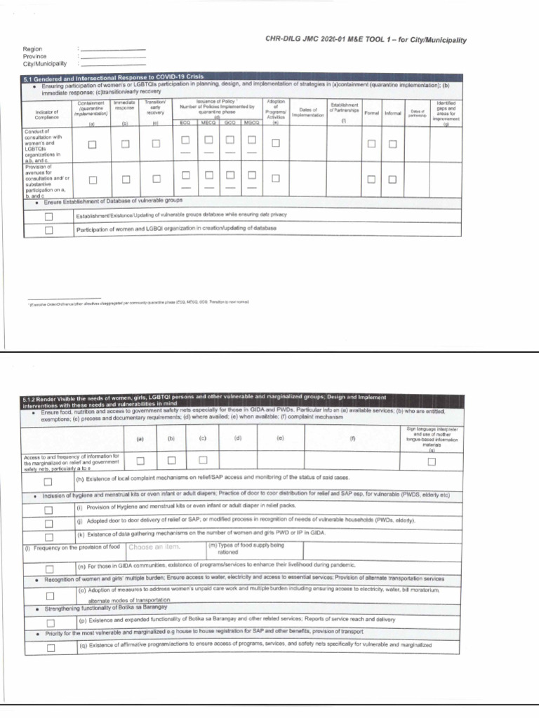 CHR-DILG M&E Monitoring Tool20240122 - 10061075 | PDF