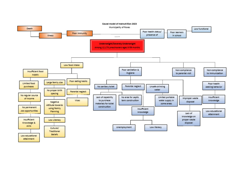 Causal Model of Malnutrition 2023 | PDF | Poverty | Poverty & Homelessness