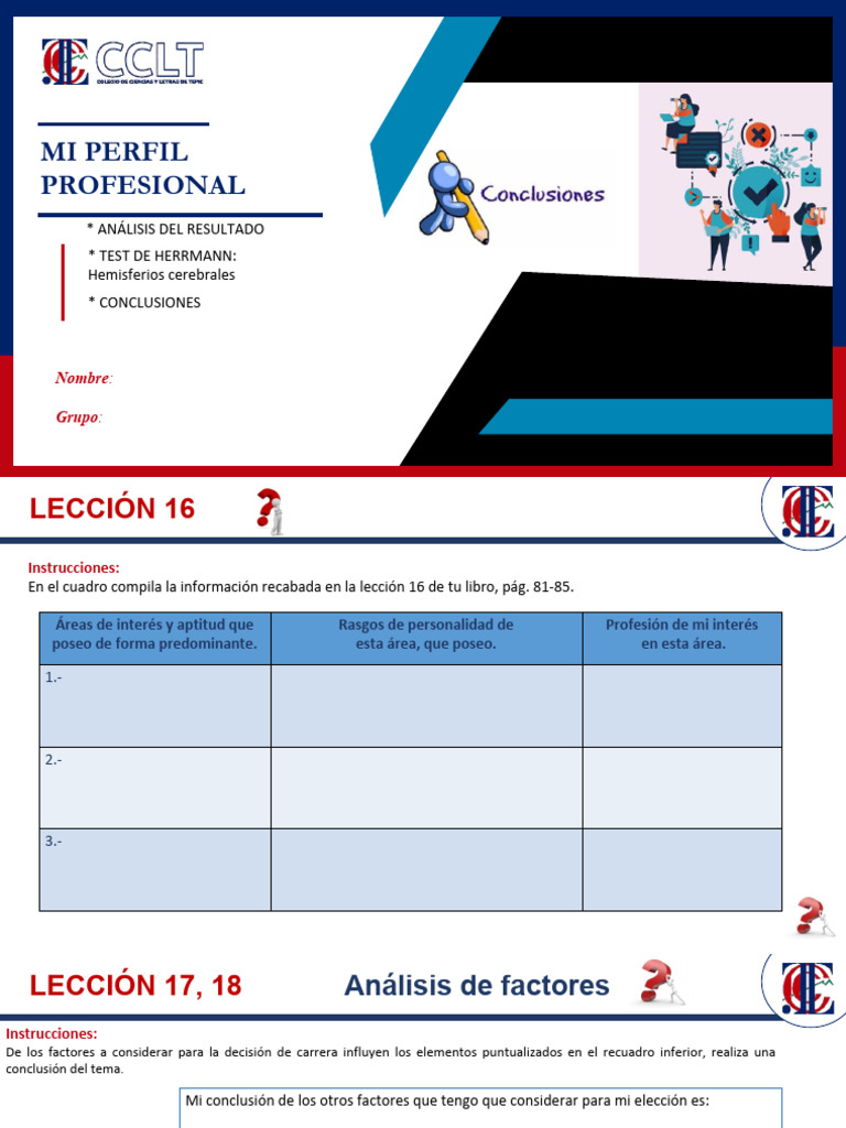Perfil Profesional | PDF