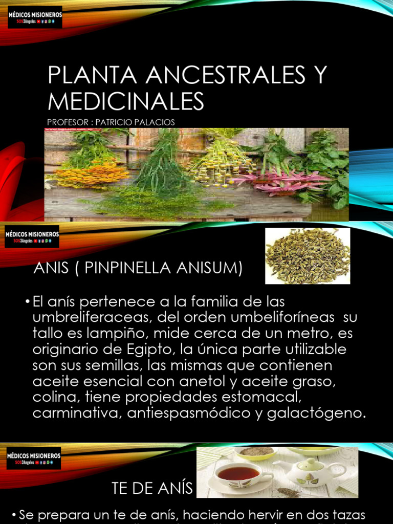 Planta Ancestrales y Medicinales Clase # 17 | PDF