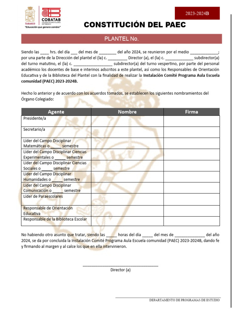 Formato Acta de Instalación Comité PAEC | PDF