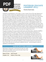 Wrist Isometric Exercise Program | PDF | Anatomical Terms Of Motion | Hand