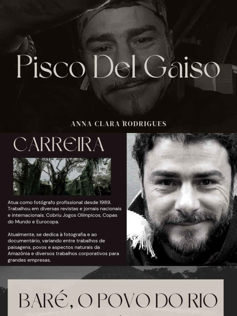 Perfil - Pisco Del Gaiso | PDF