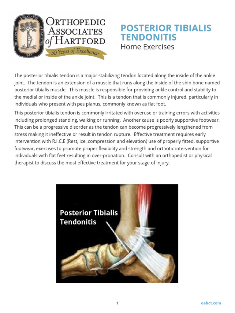 Posterior Tibialis Tendonitis Exercises | PDF | Foot | Musculoskeletal ...