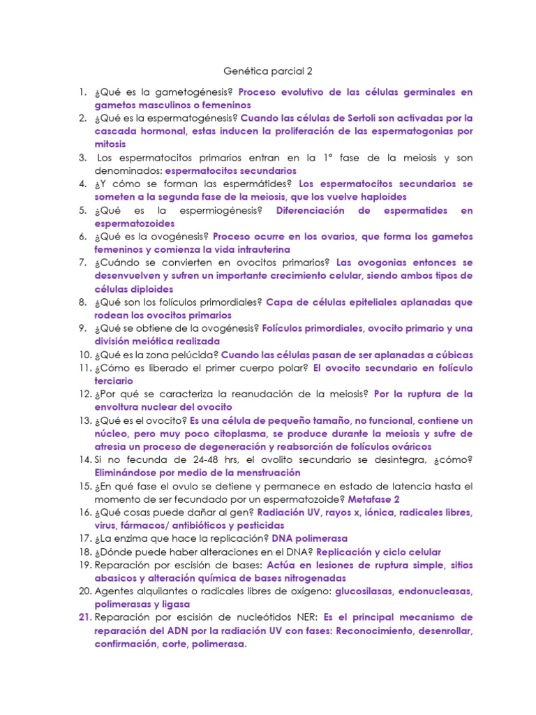 Genética y Gametogénesis: Guía Básica | PDF | Cromatina | Cromosoma