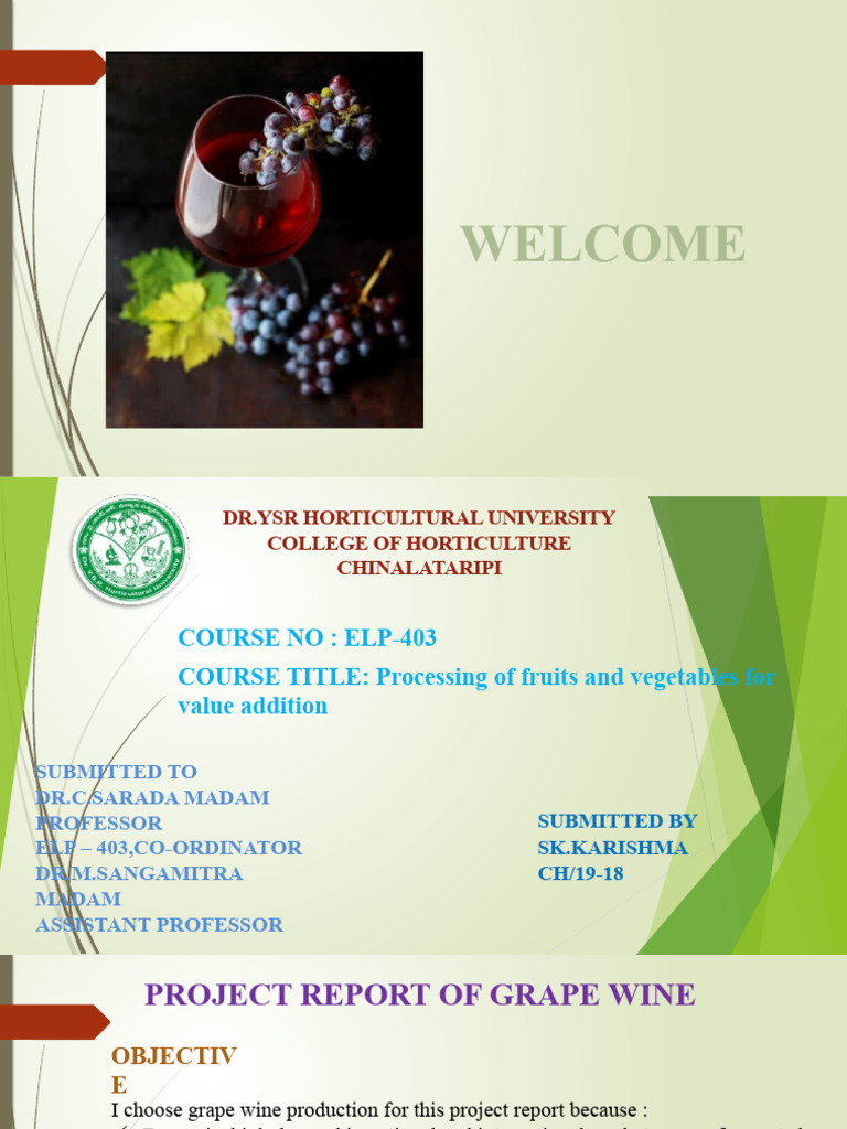 Grape Wine Production Project Report | PDF | Wine | Grape