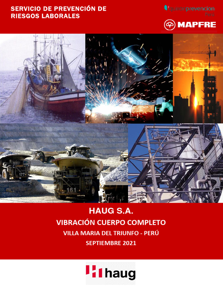 Informe de Vibración (Ce) - Haug | PDF | Hora | Frecuencia