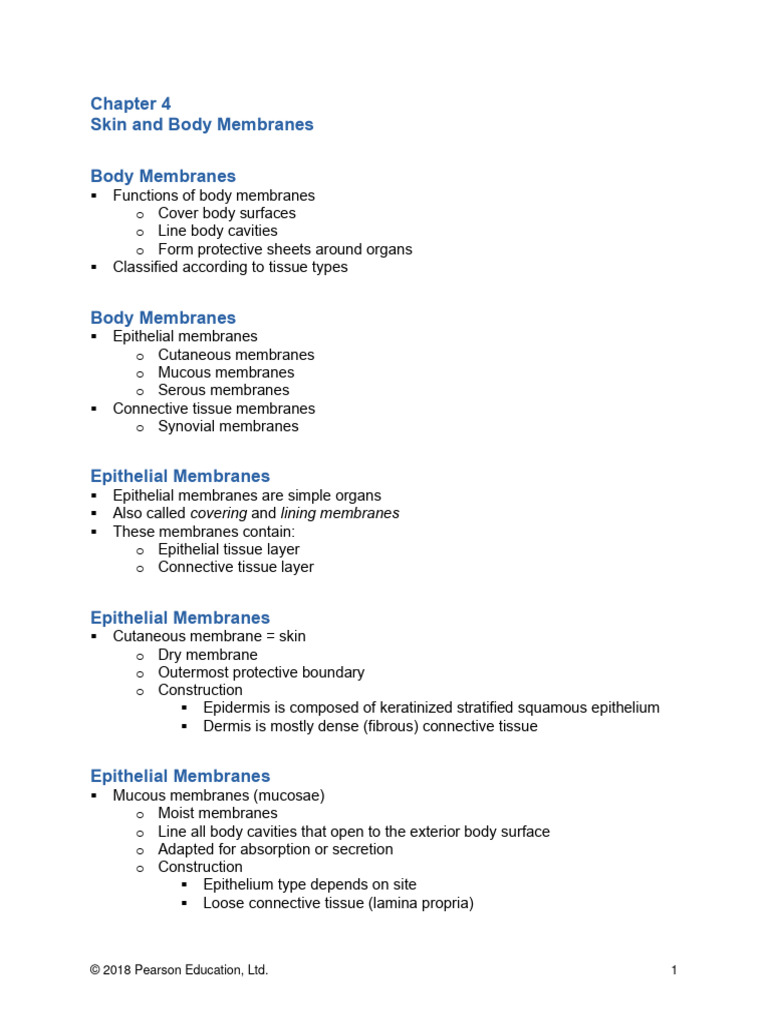 Ehap12 ch04 Lecture Presentation | PDF | Integumentary System | Skin