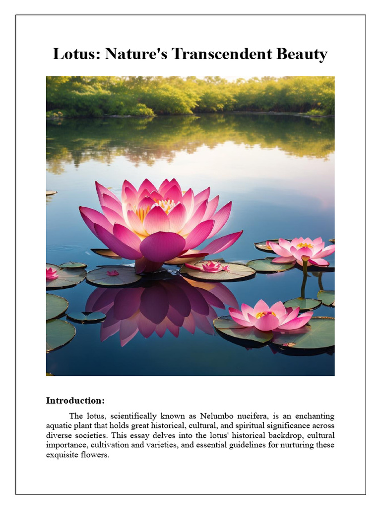 LOTUS | PDF | Plants