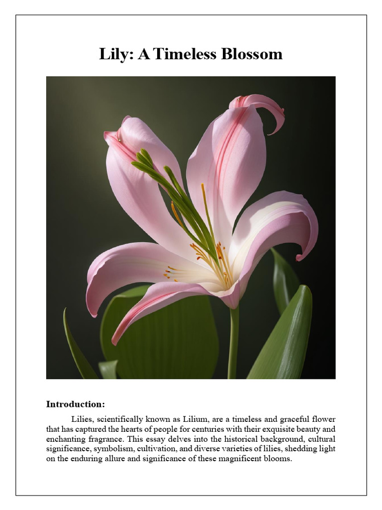 LILY | PDF | Lilium | Mulch