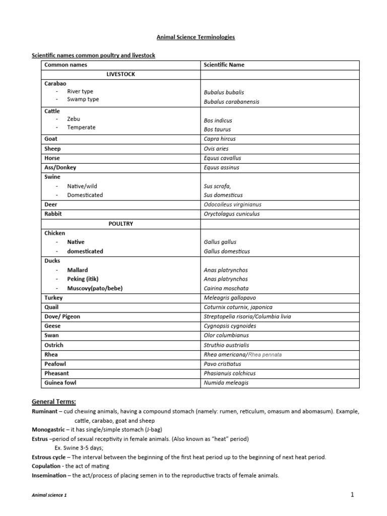 Animal Science Terminologies AS1 Lab Supplemental | PDF | Cattle | Chicken