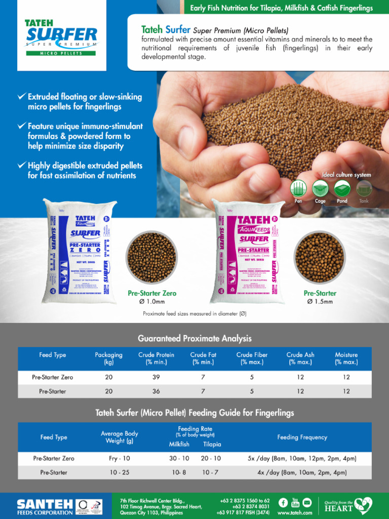 Surfer Pre Starter - PDF Brochure - Final | PDF