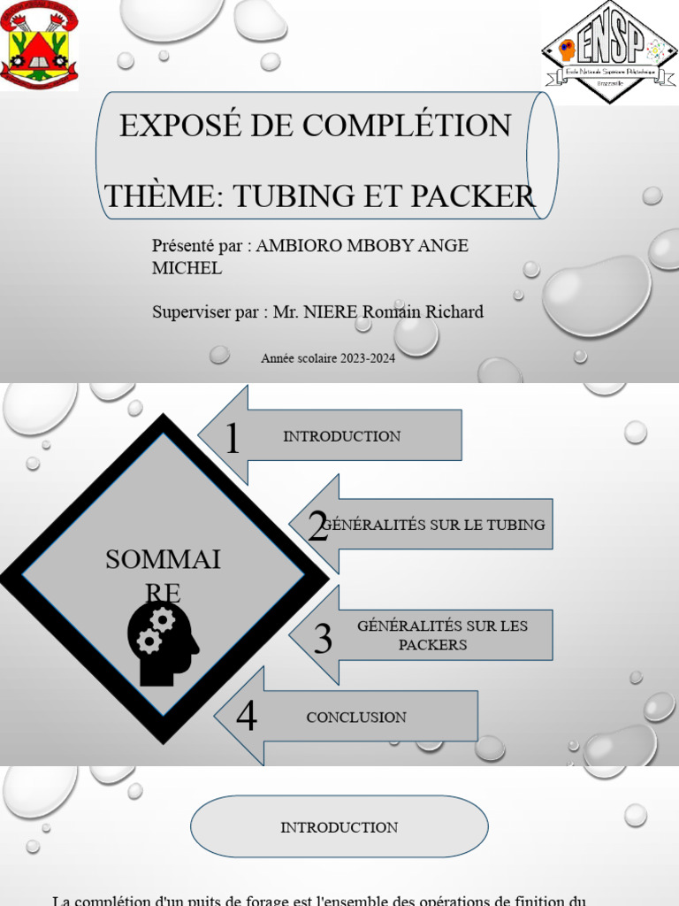Expose Sur Le Tubing Packer | PDF