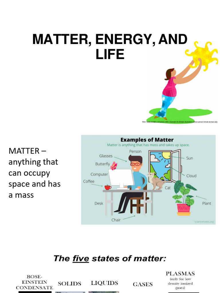 Matter, Thermodynamics & Food Chain | PDF | Food Web | Nature