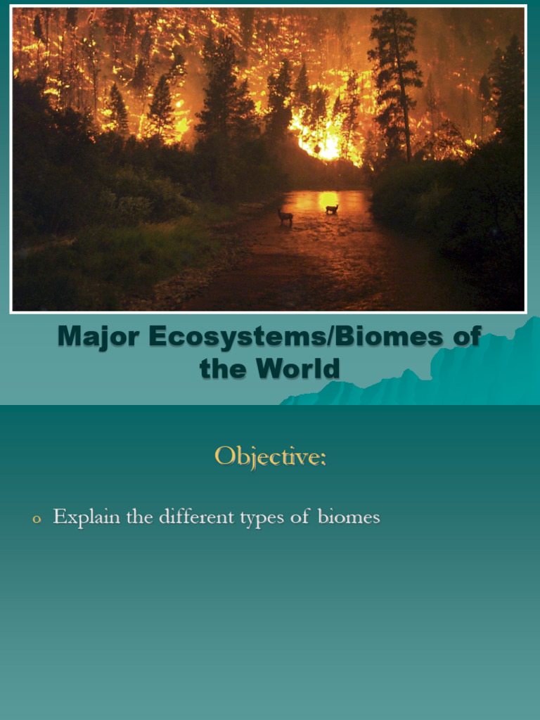 BIOMES | PDF | Forests | Ecosystem