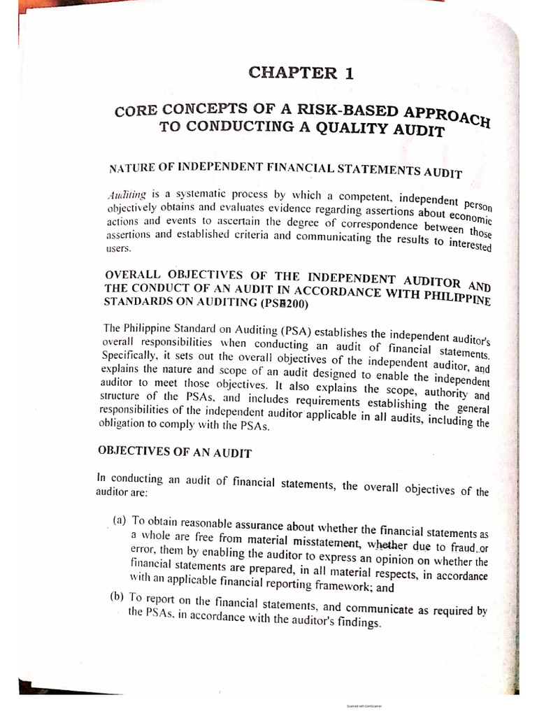 Auditing C1 Cabrera | PDF