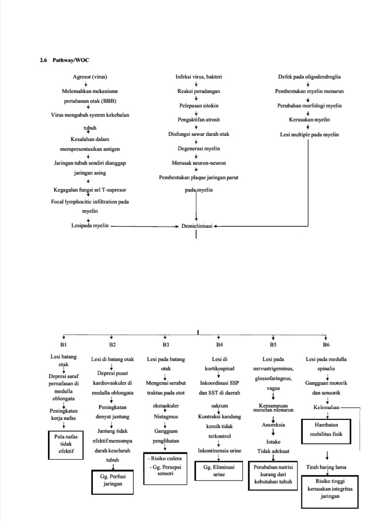 PDF Pathway Sklerosis Multiple Compress | PDF