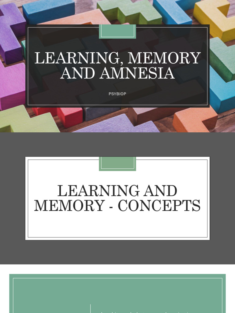 Learning, Memory and Amnesia | Download Free PDF | Memory | Amnesia