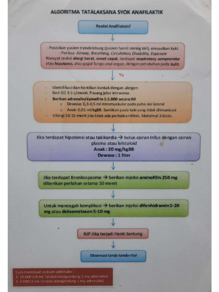 Syok Anafilaktik | PDF