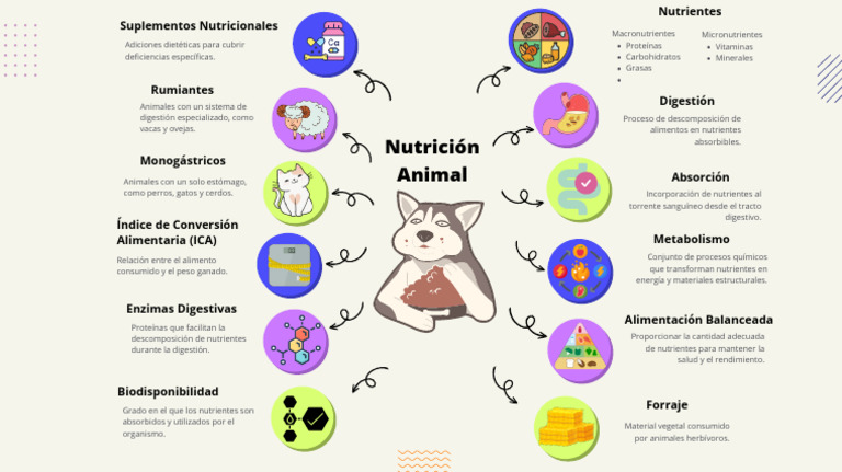 Nutrición Animal | PDF