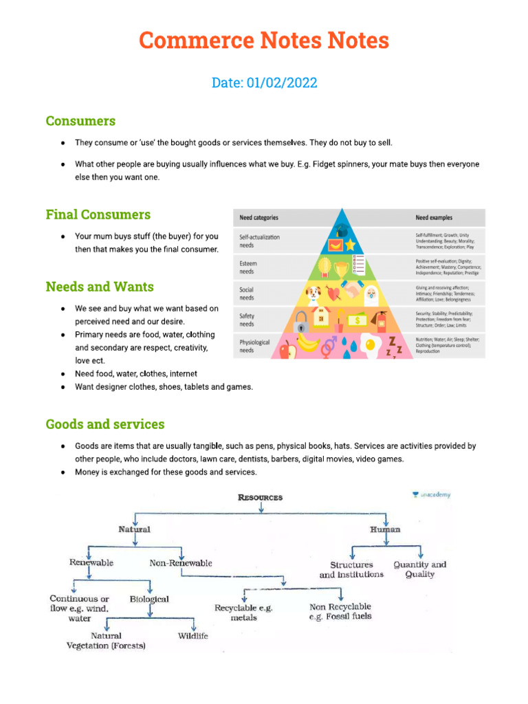 Commerce Study T1 | PDF