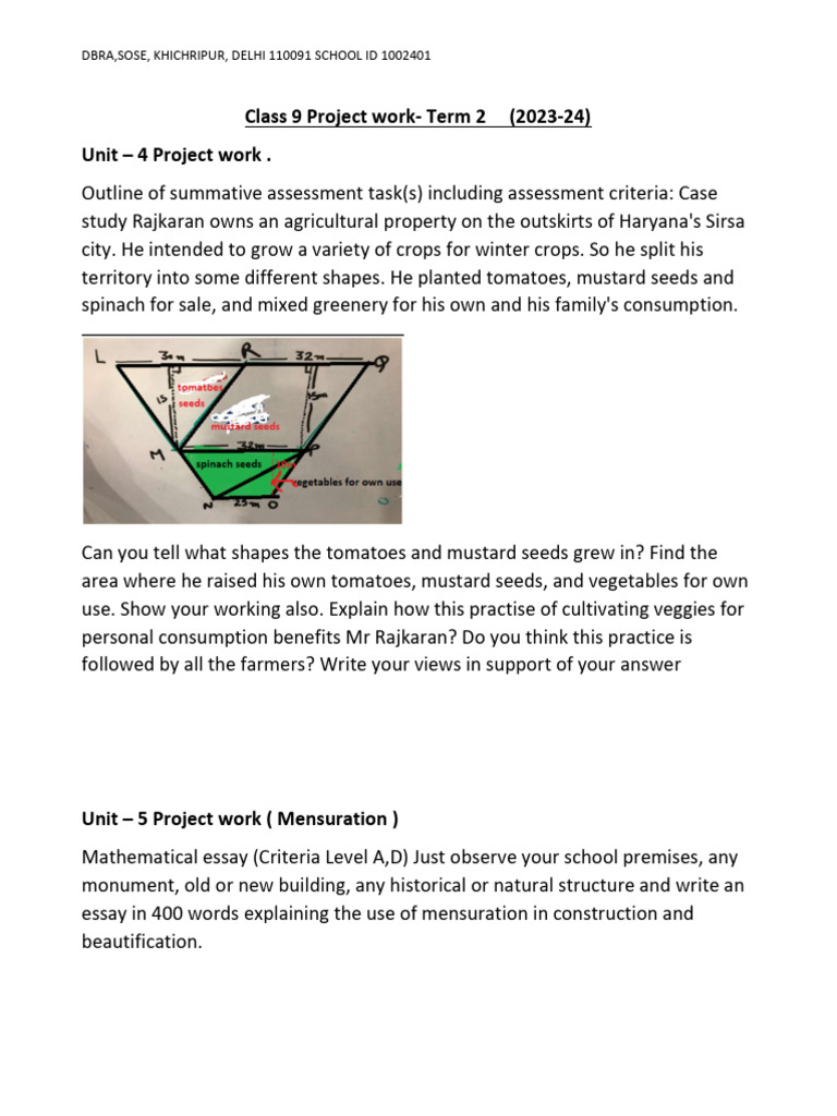 Class 9 Project Work Overview | PDF