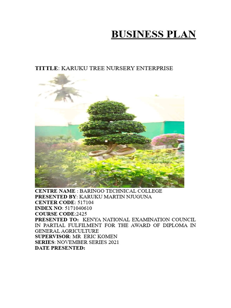 Karuku Martin Business Plan | PDF | Balance Sheet | Depreciation