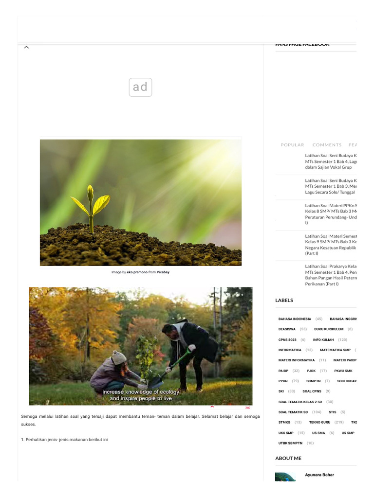 Fans Page Facebook: Popular Comments FEA | PDF