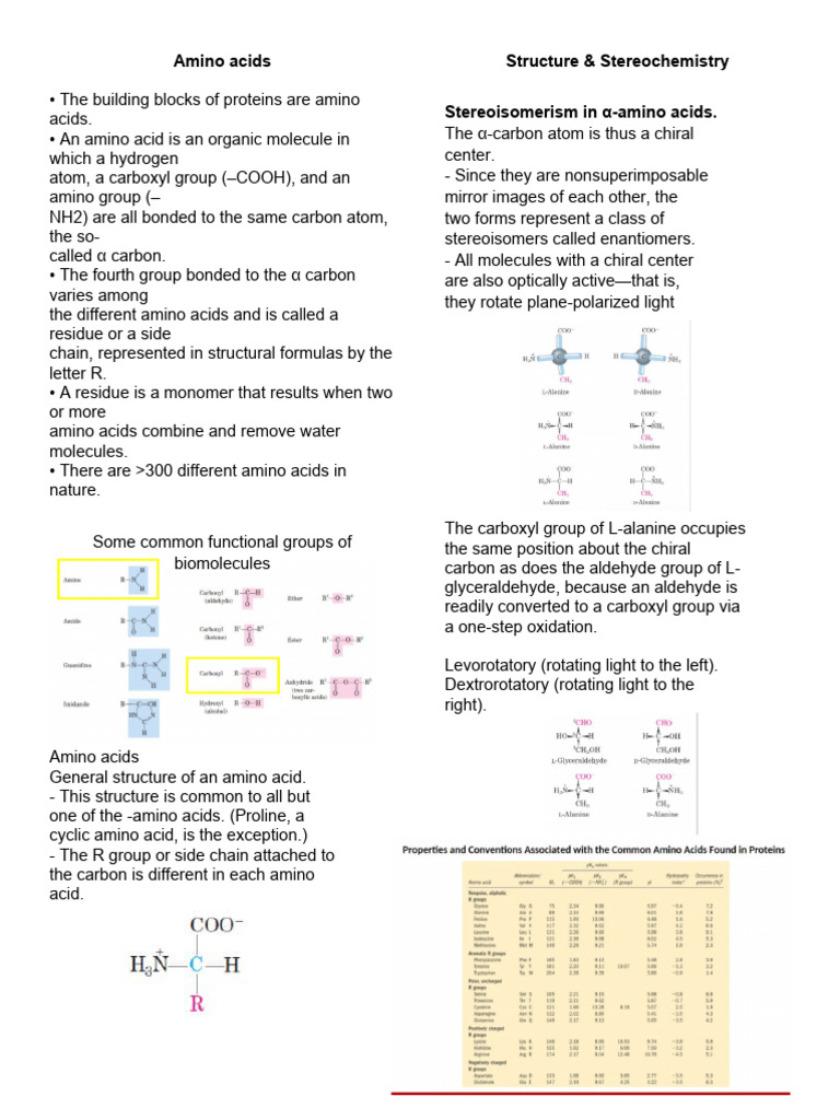 Biochem Transes | PDF