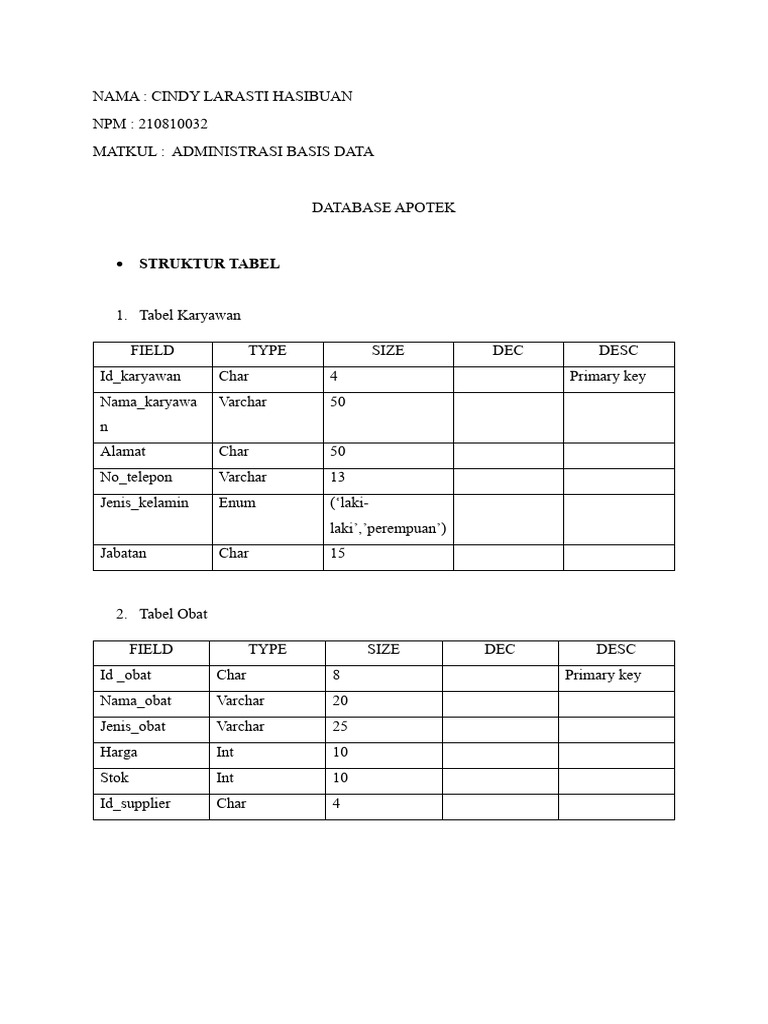 Database Apotek (Cindy Hasibuan) | PDF