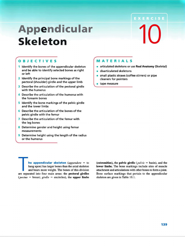Anaphy 10 | PDF | Pelvis | Musculoskeletal System