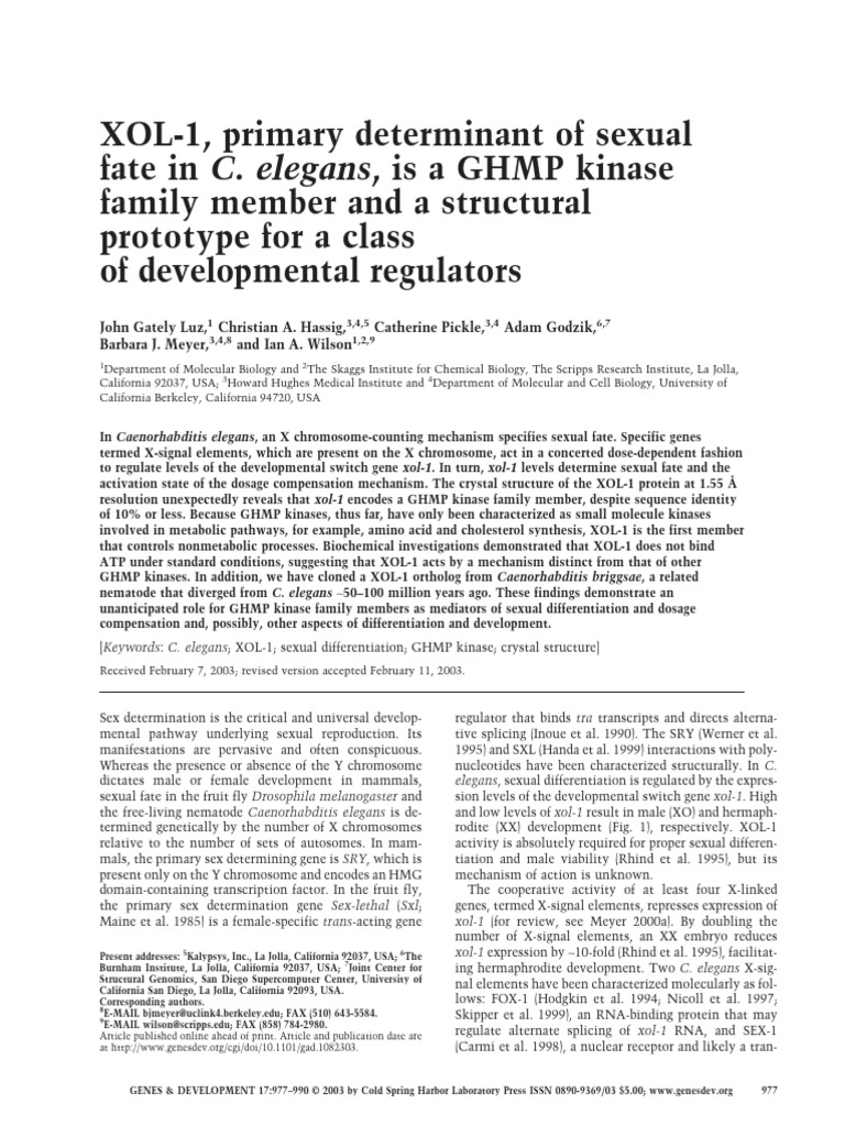 XOL-1, Primary Determinant of Sexual Fate in C. Elegans, Is A GHMP ...