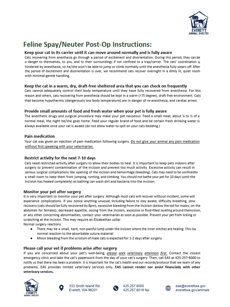 Feline Fix Post Op Instructions | PDF | Surgery | Anesthesia