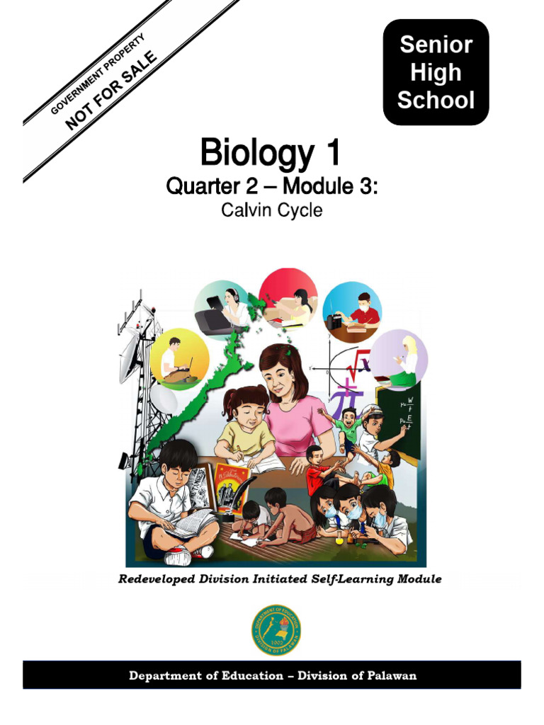 Biology 1 Quarter 2 Module 3 Pdf Biology Chemistry 