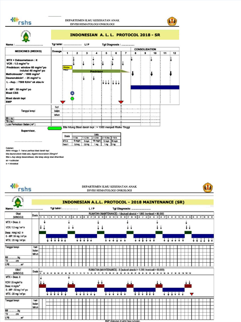PDF Protokol All Indoesia 2018 - Compress | PDF