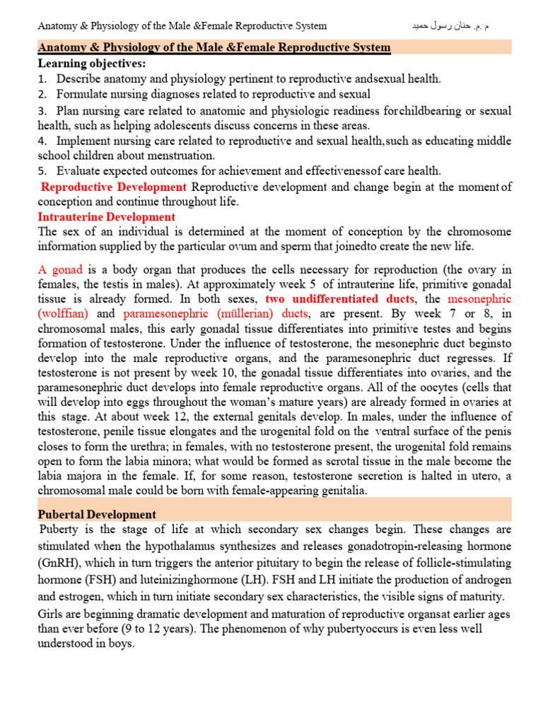 Lec 2 | PDF | Labia | Puberty